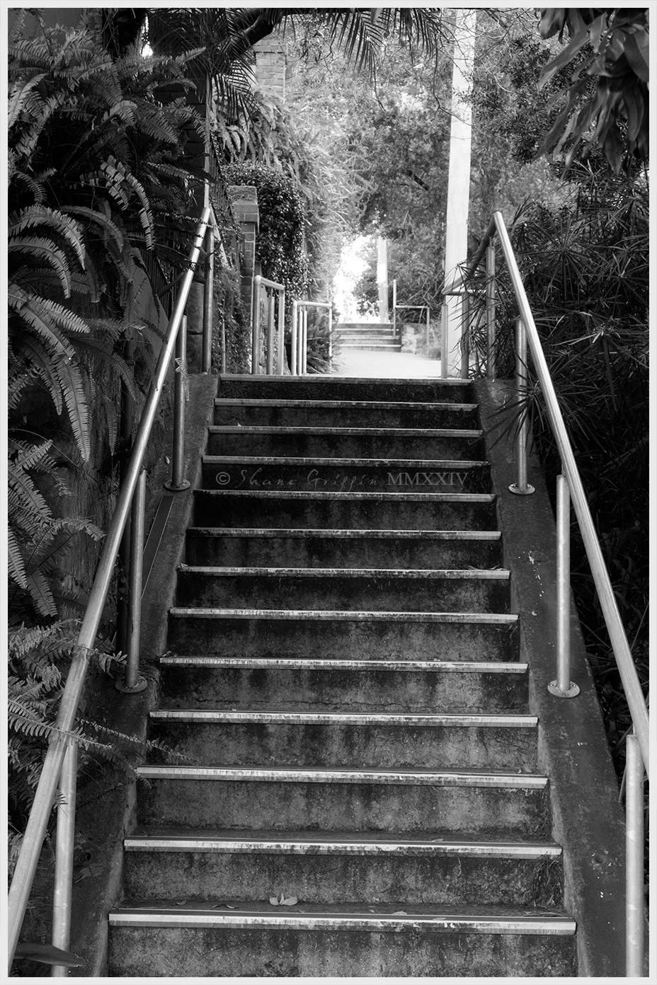 Glebe 2037 – The Layered Lens